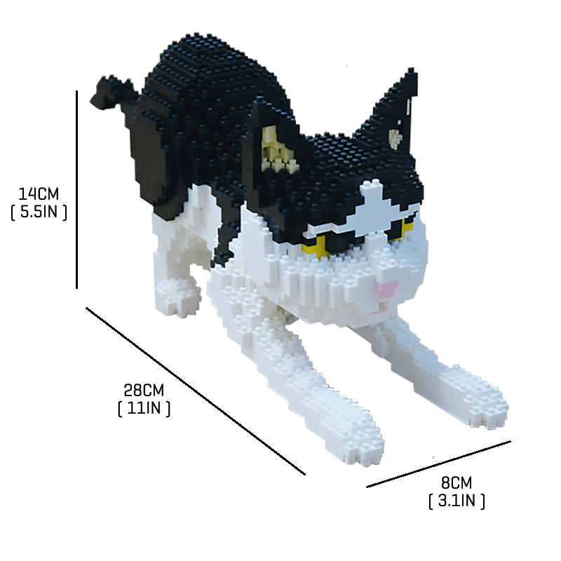 Playful Kitten – Block Center